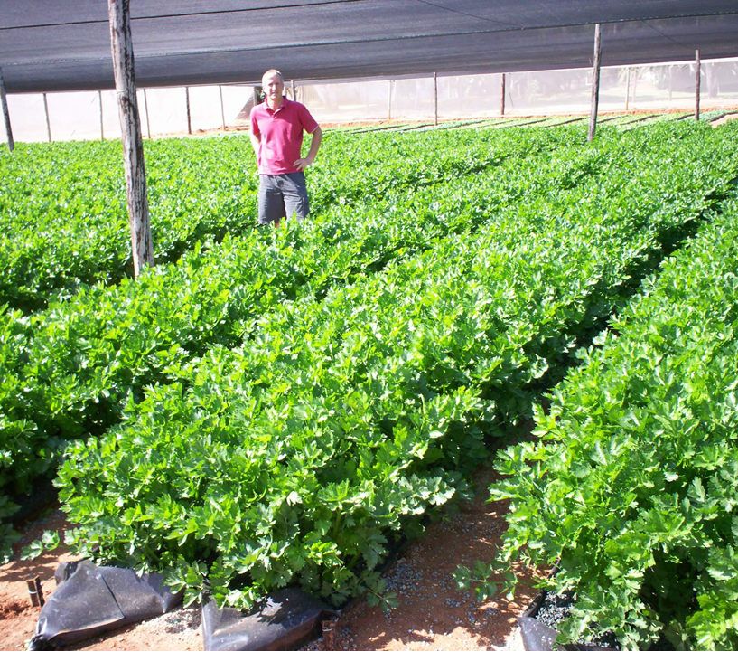 Silver Dawn Investments